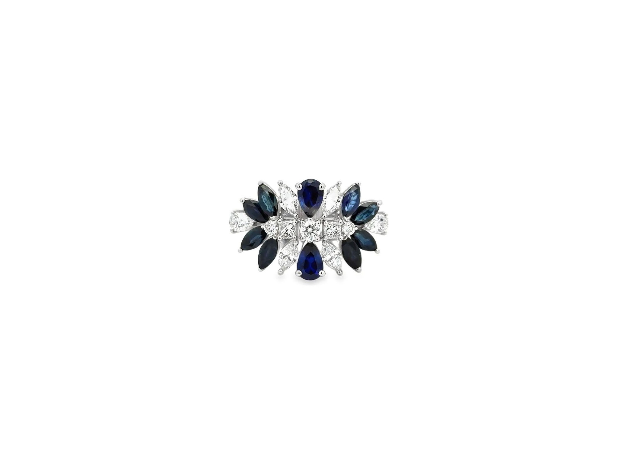18K White Gold Natural Sapphire and Natural Diamonds Marquise, Princess ...
